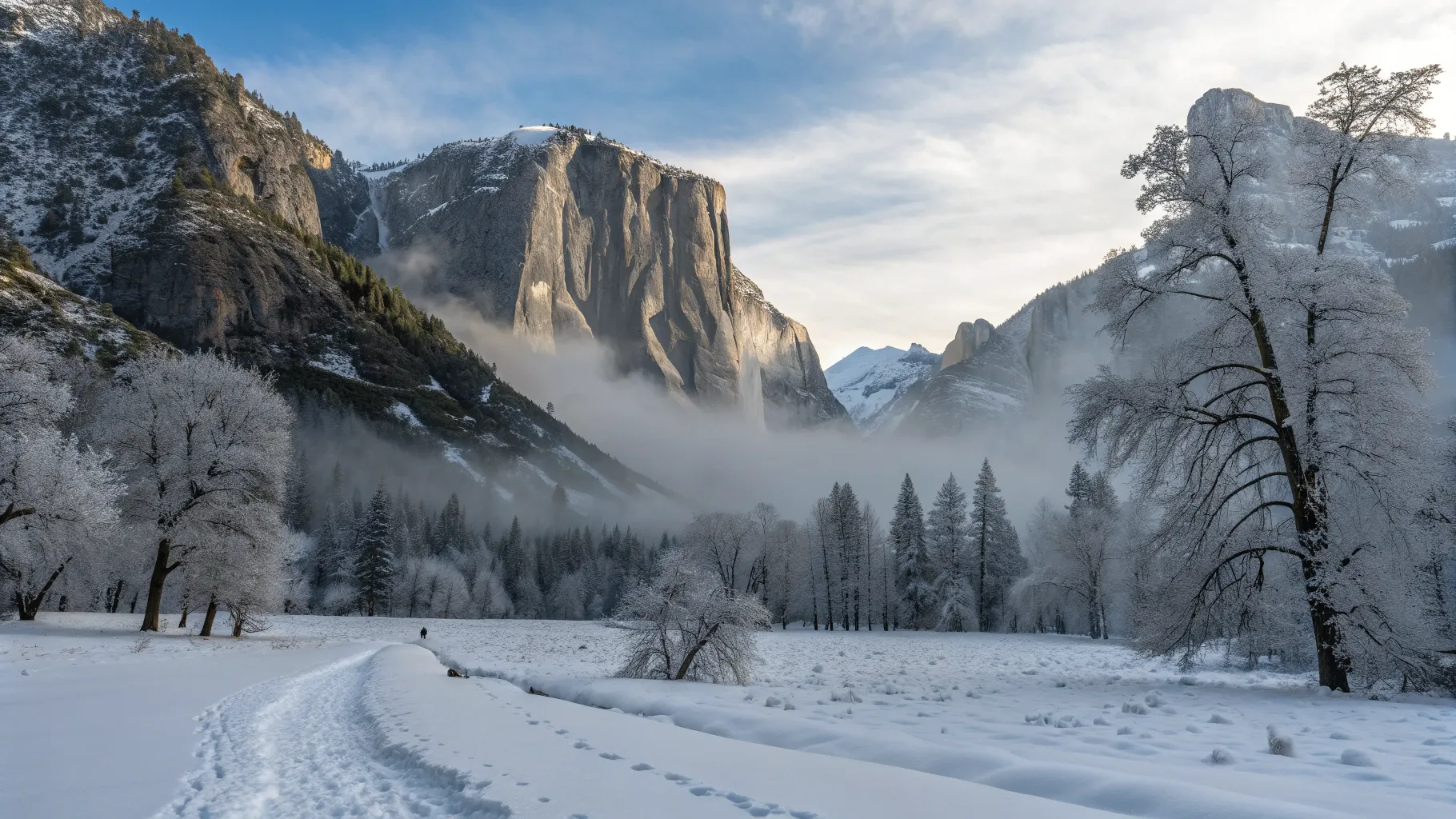 Top National Parks to Visit for Winter Adventures
